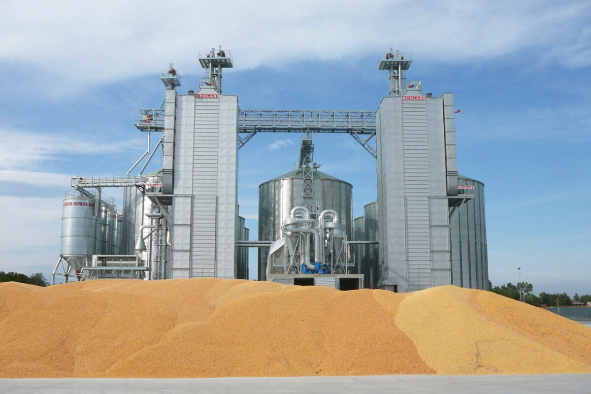 Cereal dryers manufacturers | Scolari Srl